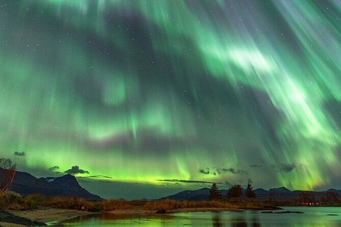 Northern Lights Tour with Local Guide and Photos - Final Thoughts