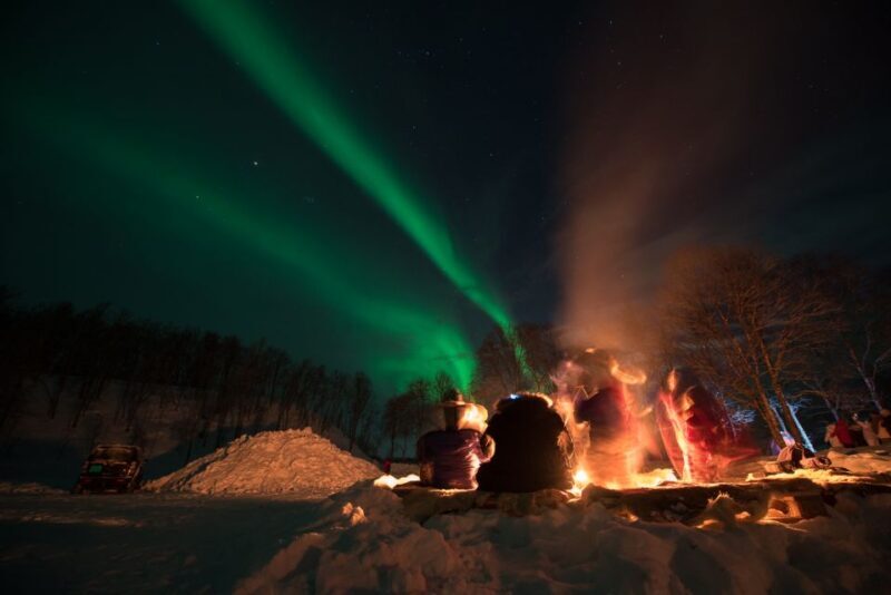Northern lights Tromsø - small group tour with local guide - The Itinerary in Detail