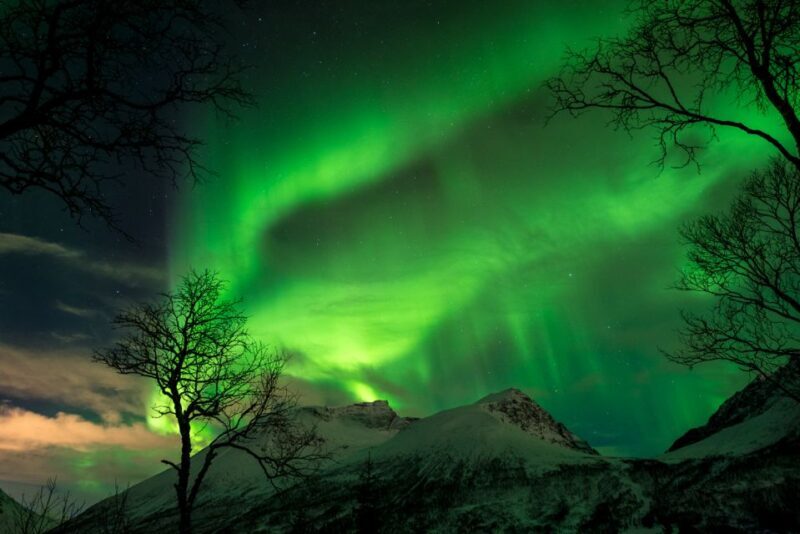 Northern lights Tromsø - small group tour with local guide - The Sum Up