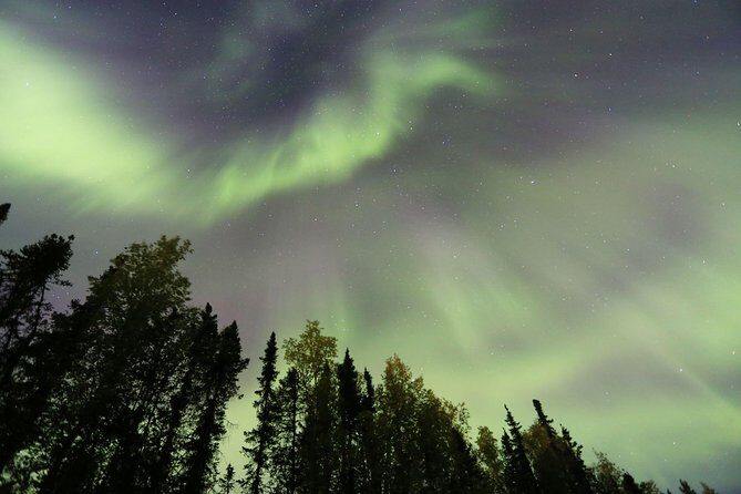 Northern Lights Viewing including Dinner and 1-Hour Dog Sledding - First Stop: The Dog Sledding Experience