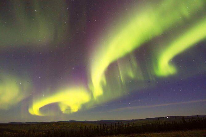 Northern Lights Viewing including Dinner and 1-Hour Dog Sledding - Overall Duration and What You Take Away