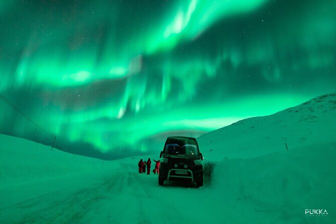 Northern Lights x Mini Bus Chase - What our reviews tell us