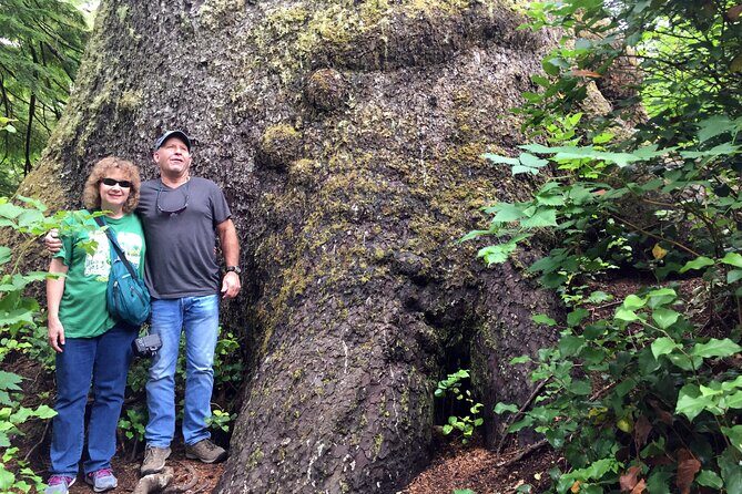 Northern Oregon Coast Day Trip to Three Capes Scenic Loop - Practical Details: What to Keep in Mind