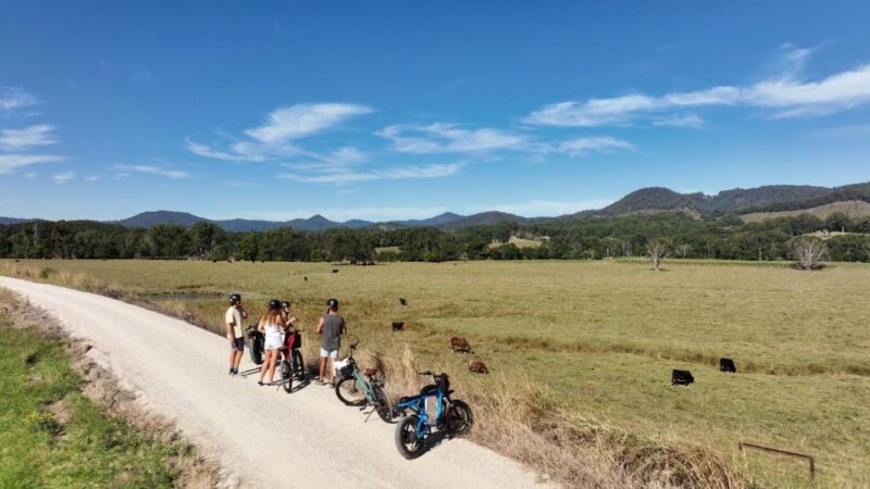Northern Rivers Rail Trail E-Bike Hire w Shuttle from Byron - The Experience and Reviews