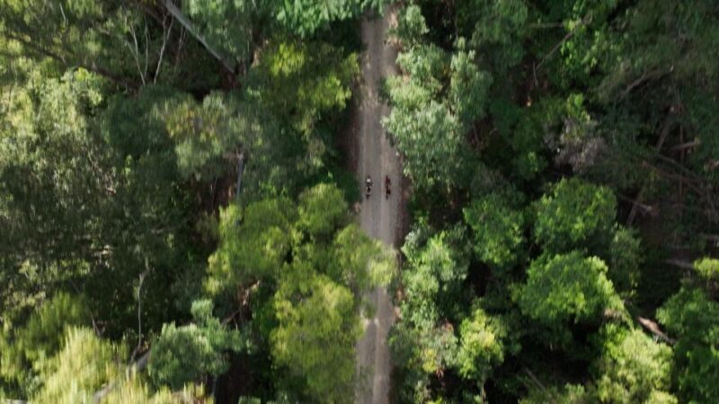 Northern Rivers Rail Trail E-Bike Hire w Shuttle from Byron - The Sum Up: Who Will Love This Tour?