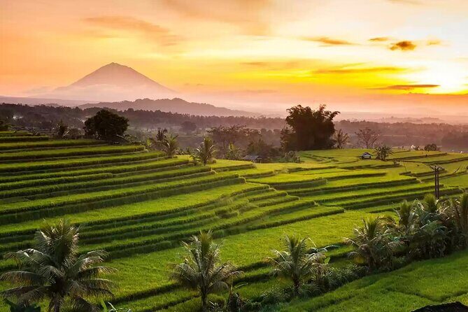 Northern Side of Bali Private Day Tour - The Sum Up: Why Choose This Tour?