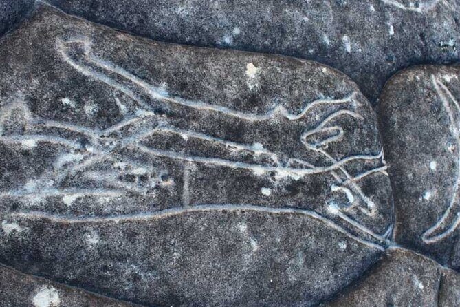 Northern Sydney Beaches and Beyond - Authentic Experiences and Authenticity