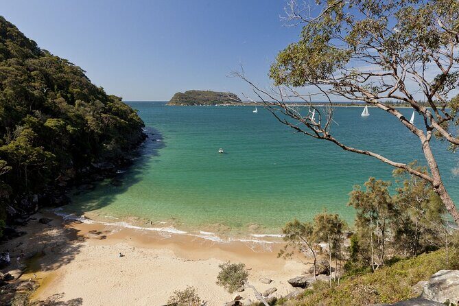 Northern Sydney Beaches and Beyond - Who Is This Tour Best For?