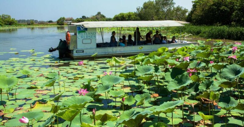 Northern Territory: Corroboree Billabong Nature Cruises - Practical Details and Recommendations