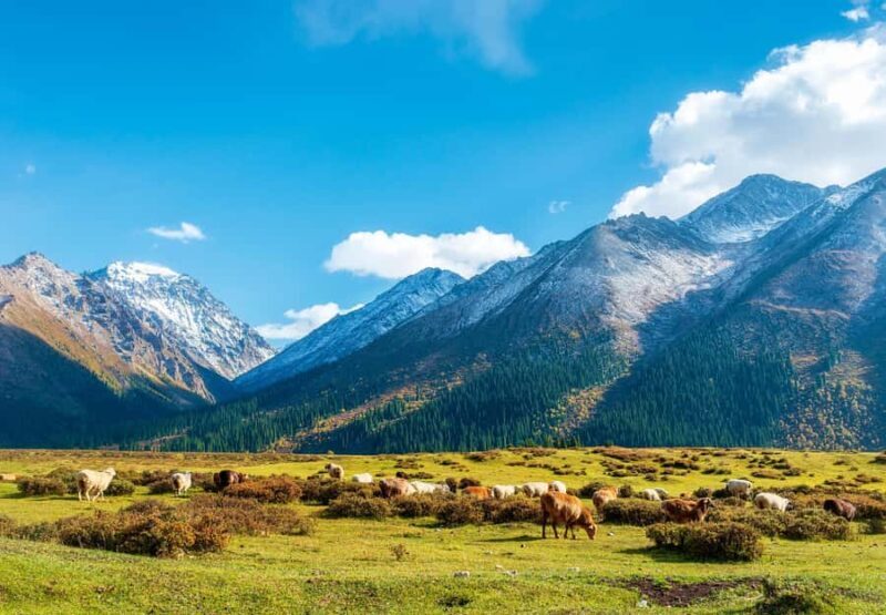 Northern Xinjiang: 10-Day Private Tour with Duku Highway - An Authentic Look at Northern Xinjiang’s Natural Beauty