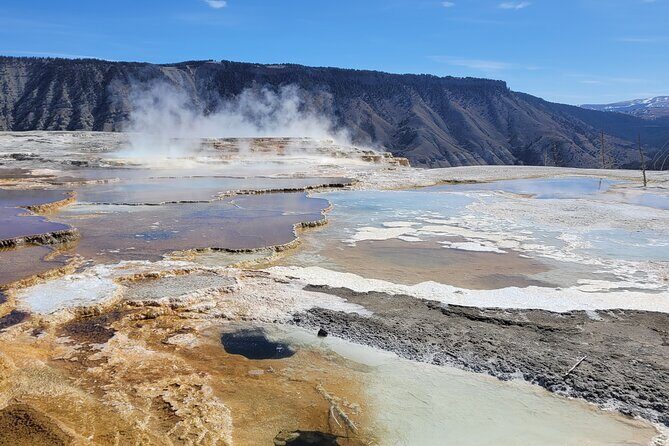 Northern Yellowstone Safari from Cody, WY - An In-Depth Look at the Yellowstone Northern Safari
