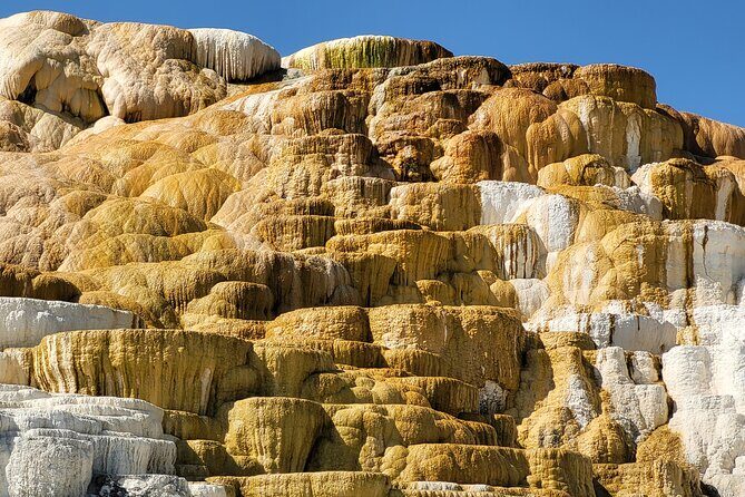 Northern Yellowstone Safari from Cody, WY - Final Thoughts
