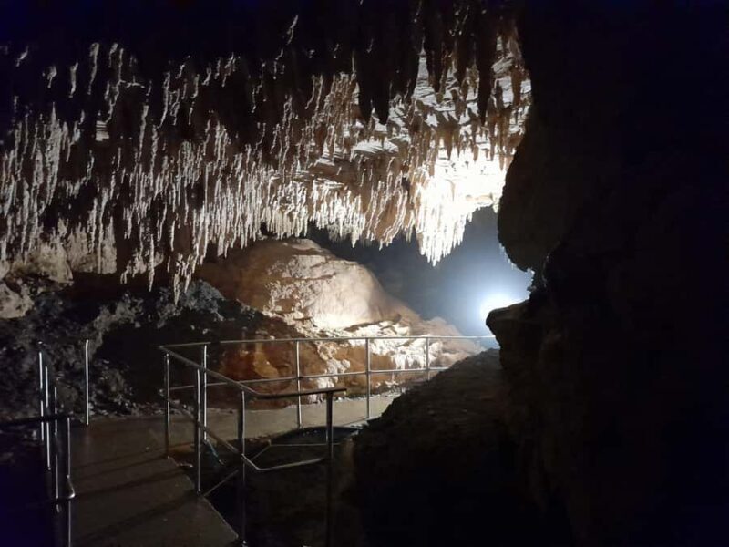 Northland Hidden Gems: Glowworm Cave, Beach & Art Café - Key Points