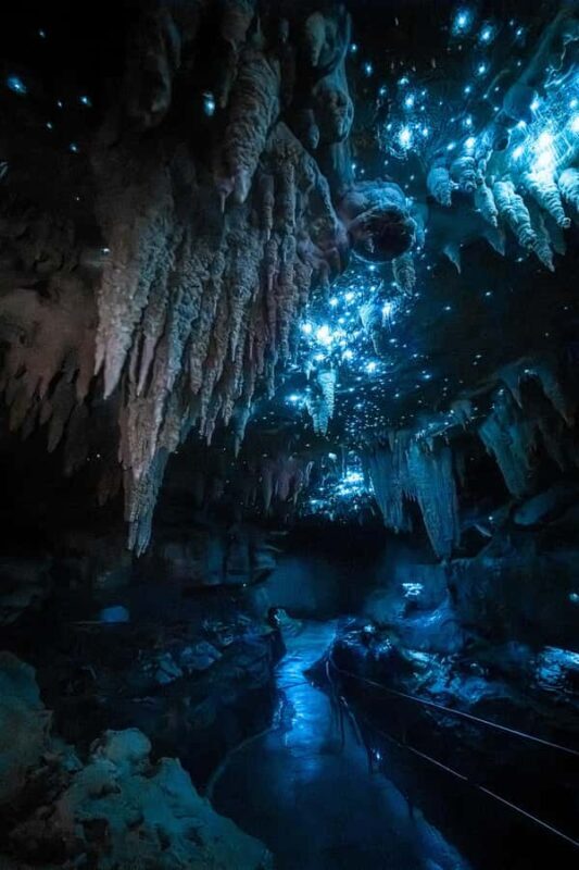 Northland Hidden Gems: Glowworm Cave, Beach & Art Café - Who Is This Tour Best For?