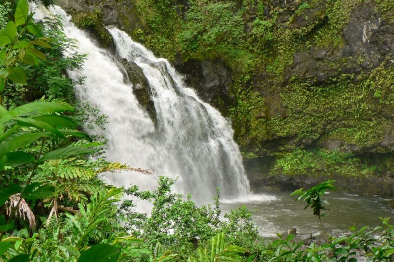 Northshore Maui: Guided Rainforest and Waterfall Walk - How the Tour Unfolds