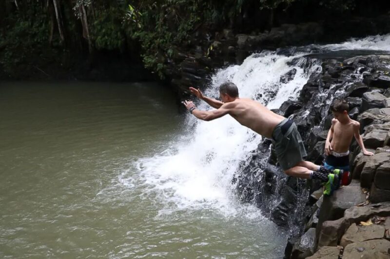 Northshore Maui: Guided Rainforest and Waterfall Walk - The Sum Up: Who Will Love This Tour?