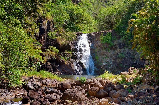 Northshore ocean adventure and circle islandJeep Tour- Guaranteed to see turtles - A Closer Look at the Itinerary