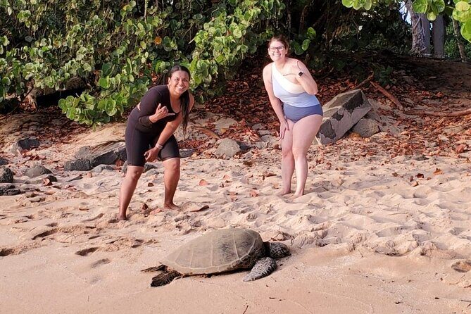 Northshore ocean adventure and circle islandJeep Tour- Guaranteed to see turtles - Authentic Experiences & Practicalities