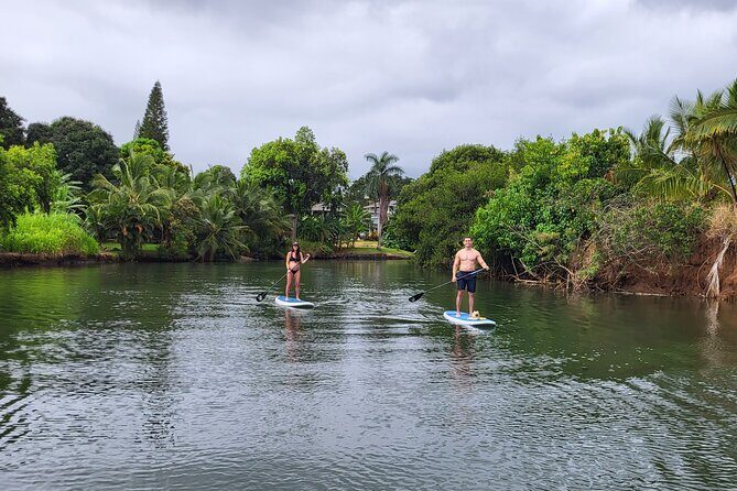 Northshore ocean adventure and circle islandJeep Tour- Guaranteed to see turtles - Who Will Love This Tour?