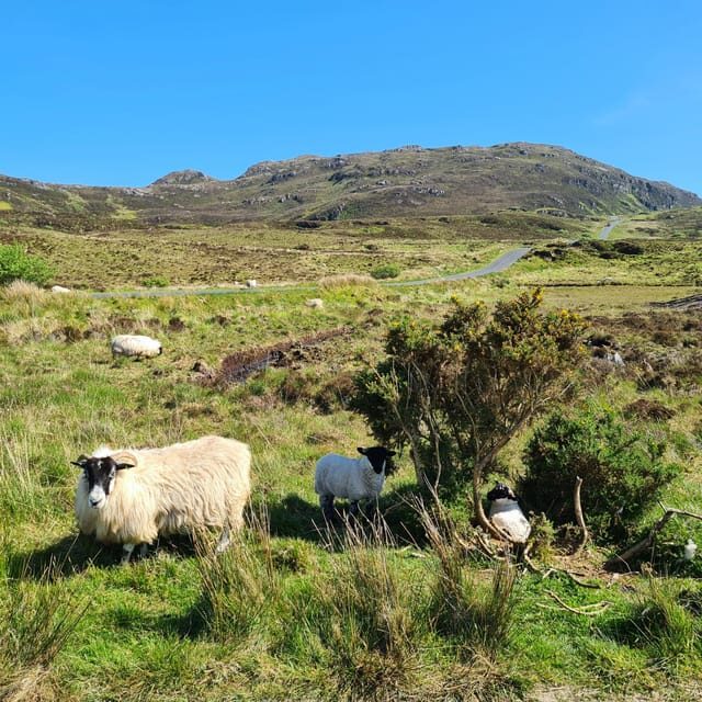 Northwest Donegal: Private Active Eco Tour - FAQs