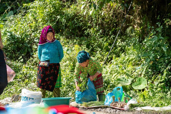 Northwest Loop Motorbike Adventure 11 days 10 nights - Day 1: Mai Chau — Entering the Heart of Vietnam