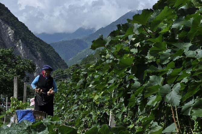 Northwest Yunnan - Starting in Lijiang’s Old Town