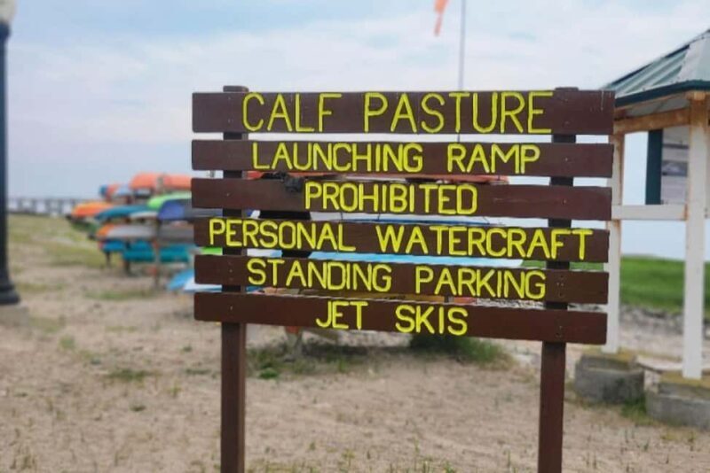 Norwalk: Paddleboard Rental at Calf Pasture Beach - The Experience: What You Can Expect