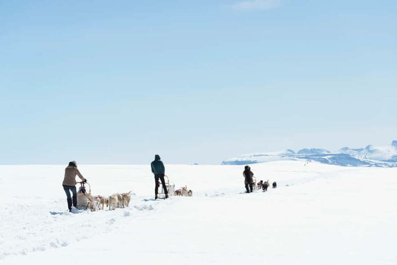 Norway: 2-Day Dogsledding Tour with Glacier Campsite - The Sum Up
