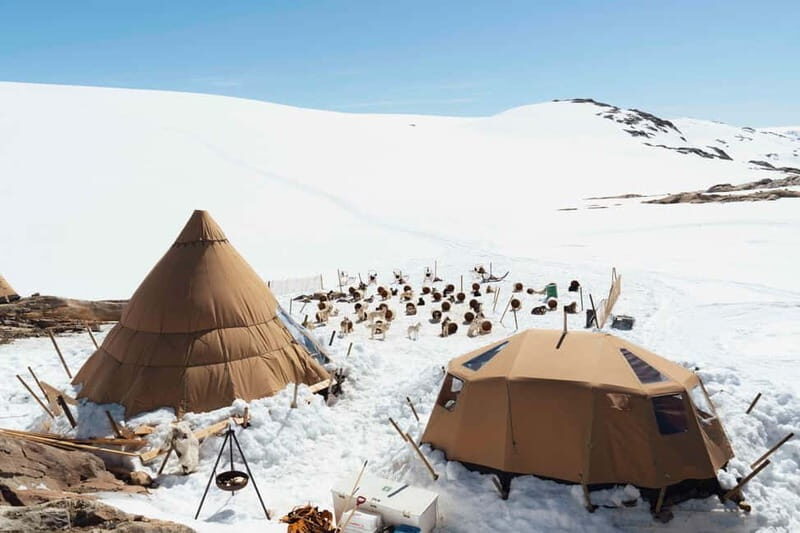 Norway: Husky Camp Visit on top of Folgefonna Glacier - The Value of This Experience