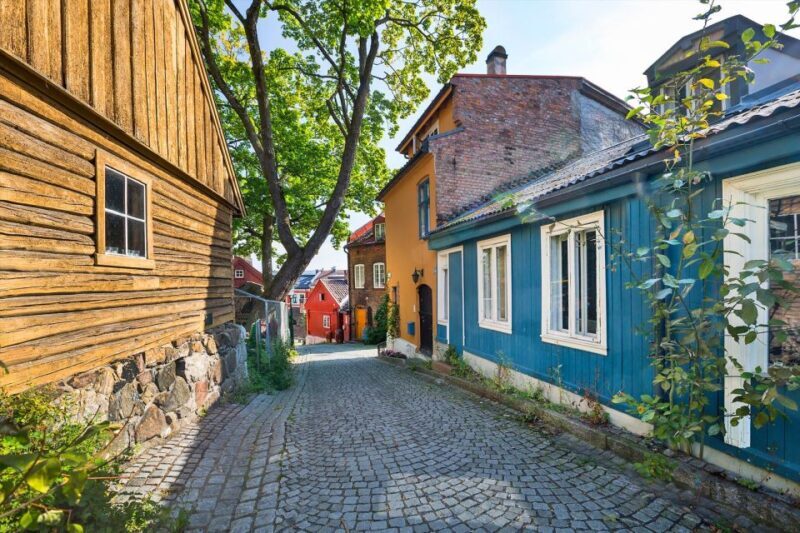 Norwegian Food Tour & Hidden Gems of Oslo - Key Points