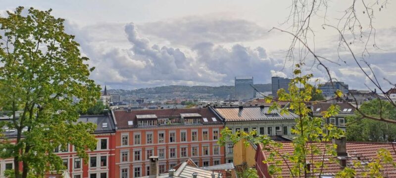 Norwegian Food Tour & Hidden Gems of Oslo - An In-Depth Look at What You Can Expect