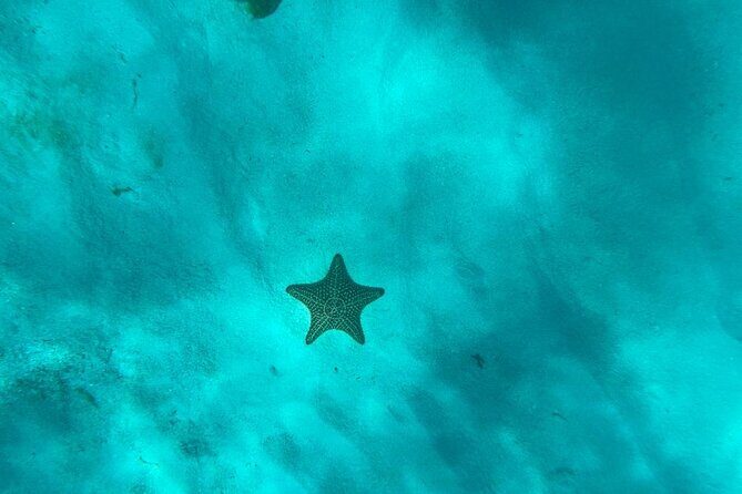 Norwegian Sky at La Romana port: Saona Island - FAQs