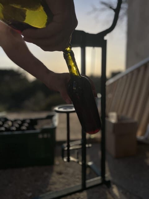 Noto: Farm to Fork in Sicily - Cooking Class in a Farm - Key Points