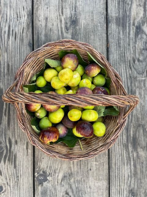 Noto: Farm to Fork in Sicily - Cooking Class in a Farm - A Genuine Taste of Sicilian Culture in a Rural Setting