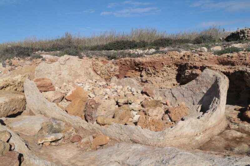 Noto: Guided trekking and birdwatching at Vendicari Reserve - Transportation and Logistics