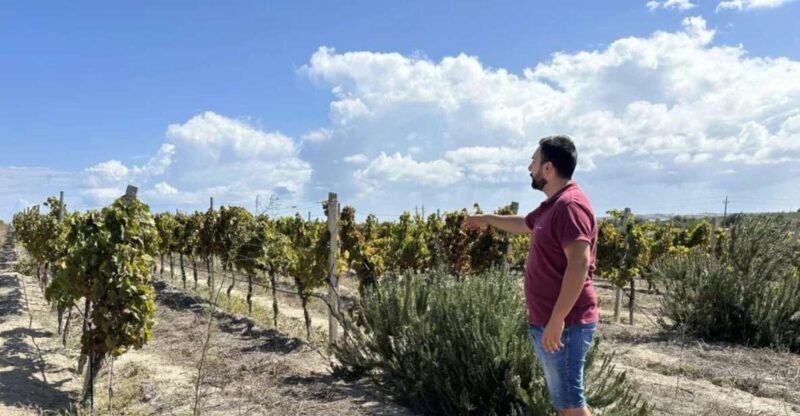 Noto: Wine Tasting and Estate Tour with Local Products - The Value and Practicalities