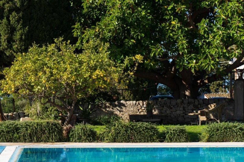 Noto: Wine Tasting and Estate Tour with Local Products - FAQ