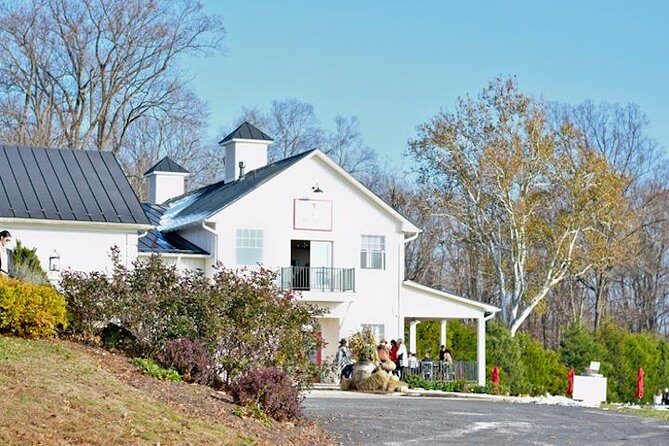 NOVA Private Custom Wine Tours & Tasting from DMV - How the Tour Works: Timing, Flexibility, and Value