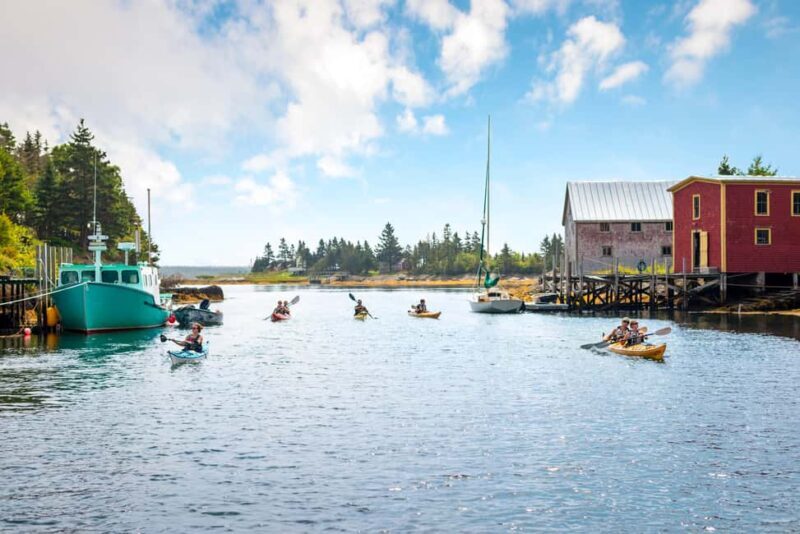 Nova Scotia: Guided Half-Day LaHave Islands Sea Kayak Tour - Introduction: What This Tour Offers