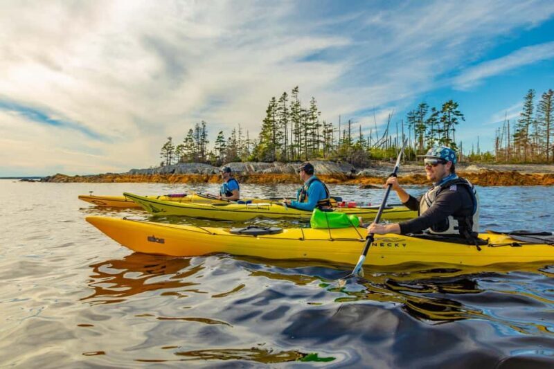 Nova Scotia: Guided Half-Day LaHave Islands Sea Kayak Tour - Why This Tour Offers Great Value