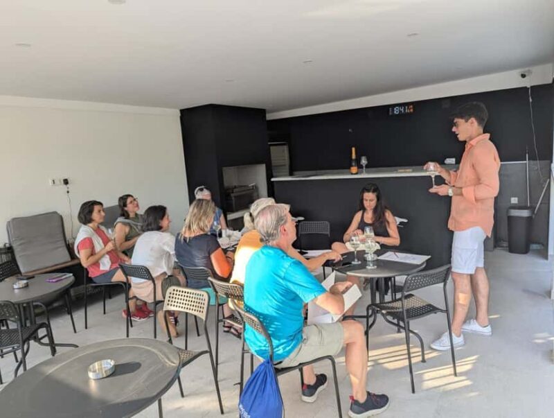 Novi Sad: Fruka Gora Wine Tasting with Local Bites - An In-Depth Look at What to Expect