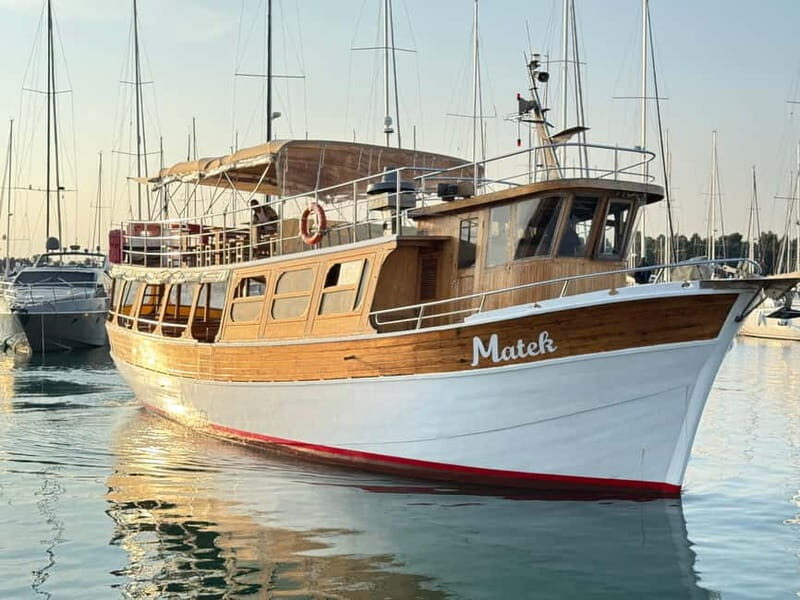 Novigrad: Sunset Dolphin Watching Boat Tour by Matek - What Makes This Tour Stand Out?