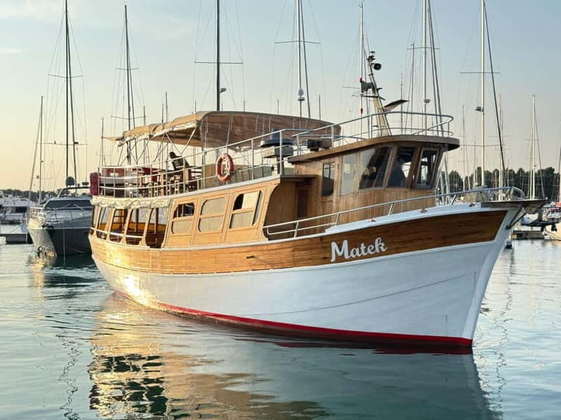 Novigrad: Sunset Dolphin Watching Boat Tour by Matek - Final Thoughts