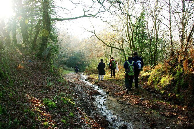 Nozzle Horn Protected Landscape Area - The Itinerary Explored