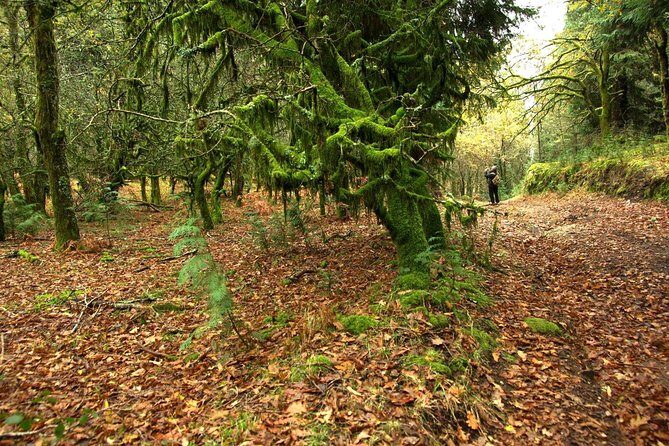 Nozzle Horn Protected Landscape Area - The Sum Up: Who Will Love This Tour?