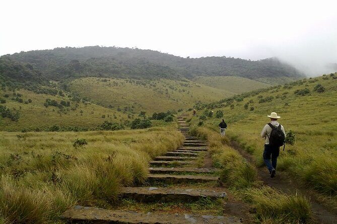 Nuawara Eliya Horton Plains Tea Plantaition and Water Fall with Lunch - An In-Depth Look at the Tour