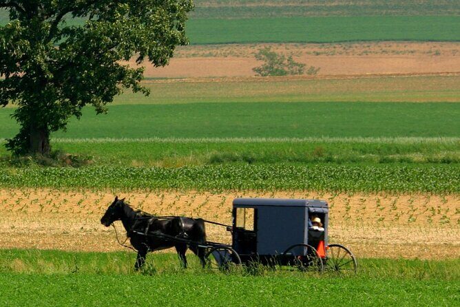 Nueva York a Filadelfia y Los Amish en Castellano - FAQ