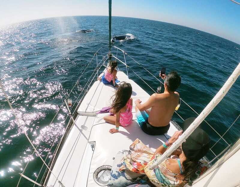 Nuevo Vallarta: Whale Watching by Sailboat Tour - The Sum Up