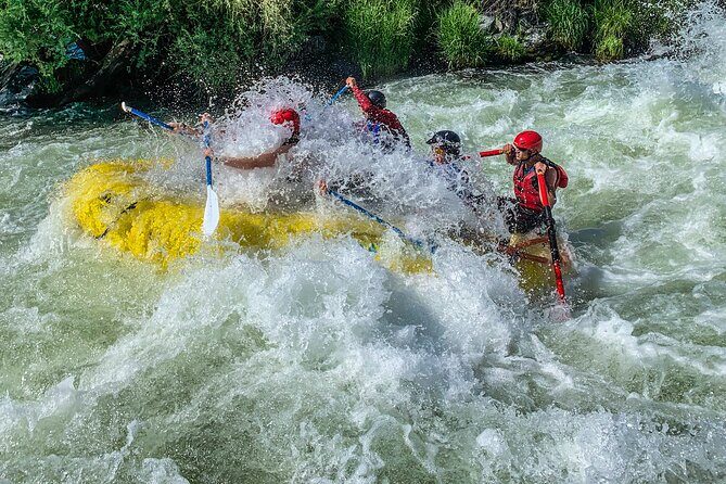 Nugget Falls class IV Half-Day Rafting on The Rogue River - The Sum Up: Who Will Love This Tour?