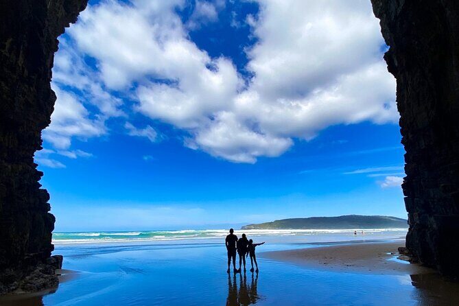 Nugget Point and Cathedral Caves Private Tour from Dunedin - Exploring Dunedin’s Otago Peninsula in Comfort and Style